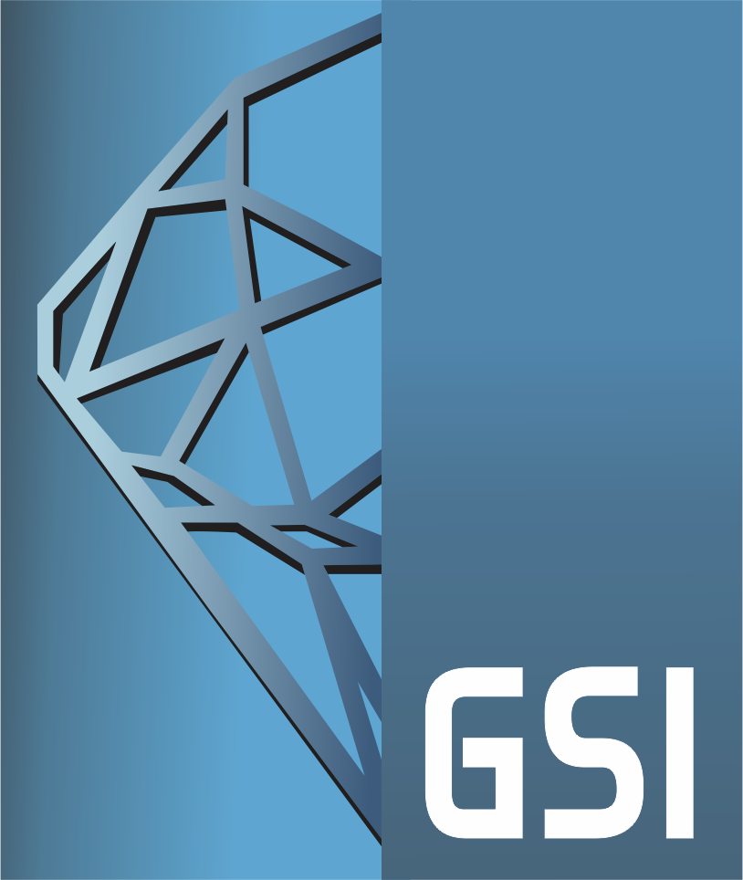 GSI Report